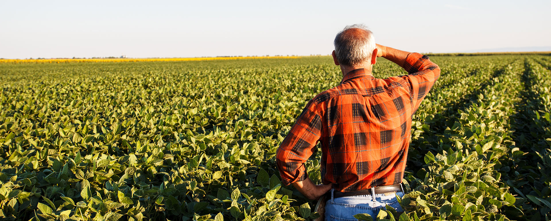 Colland bijeenkomst 21 juni 2023 - Colland