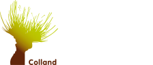 Colland - Het samenwerkingsverband tussen fondsen en regelingen in de ...