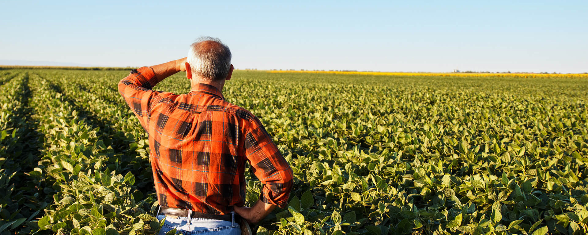 Colland bijeenkomsten - Colland