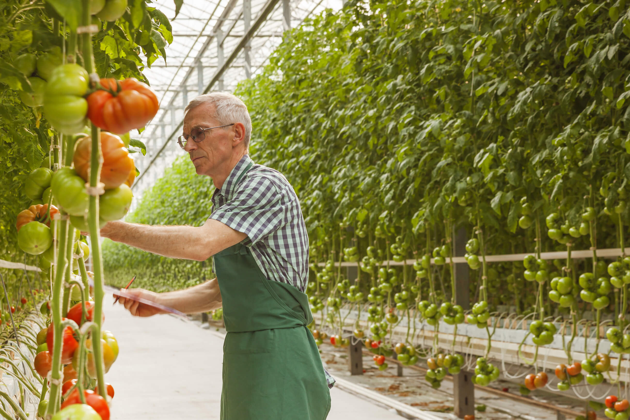 Premieoverzicht 2022 - Colland