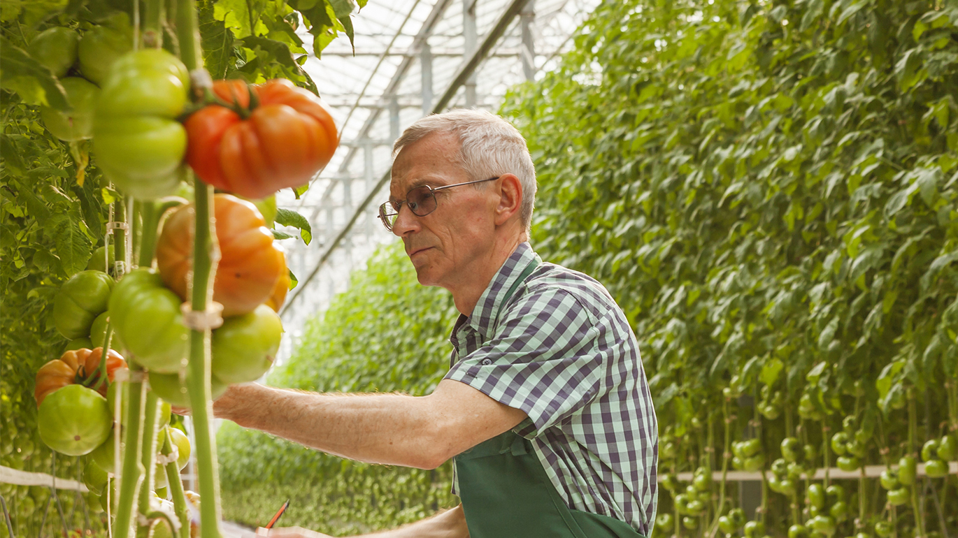 Colland bijeenkomst 2 november 2021 - Colland